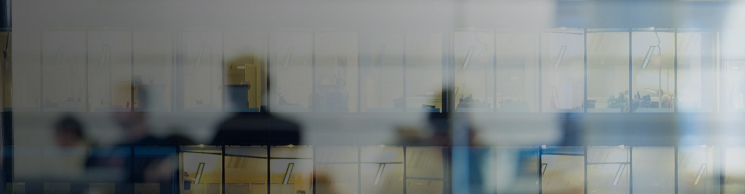 Meet the Team | Leadership | Spinnaker Support