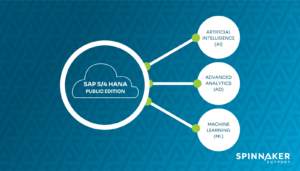 SAP S/4HANA: Public vs. Private Cloud Editions