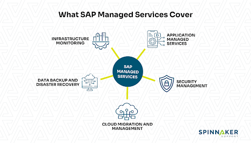An Overview of SAP Managed Services: Choose the Right MSP